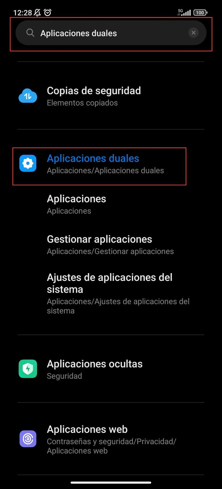 Duplicar APP de Ironchip